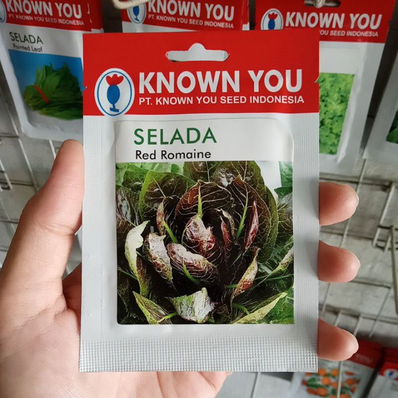 Jual Benih Selada Romen Merah Red Romaine Isi 5gr | Shopee Indonesia