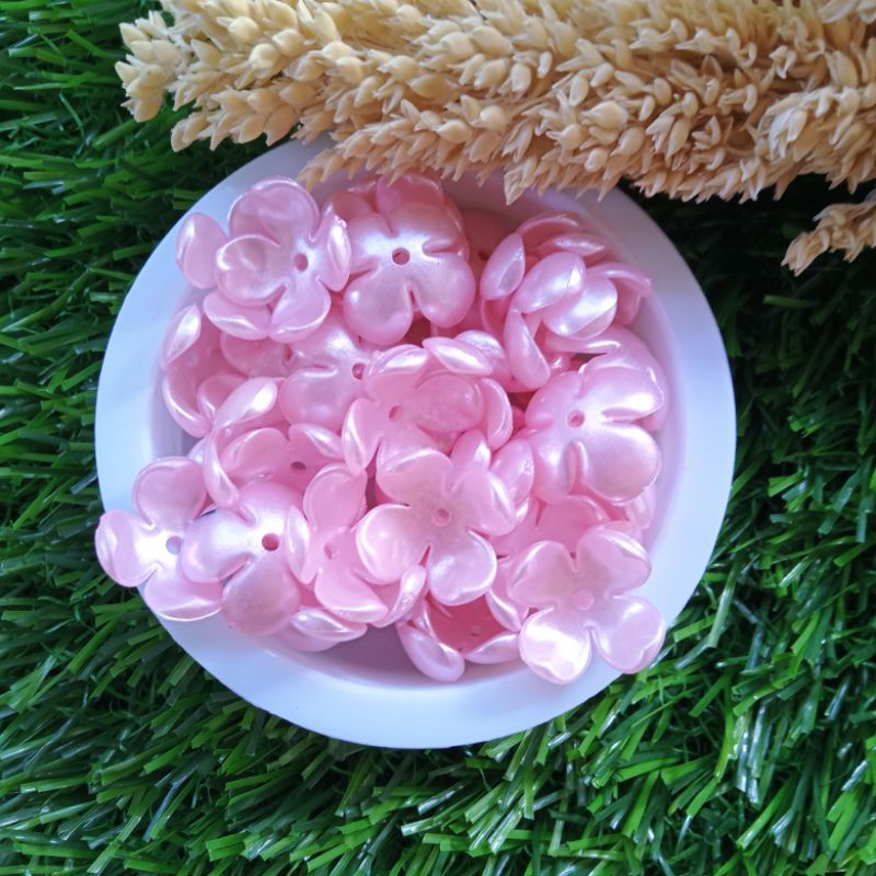 Jual Mote kelopak bunga Clover (25 gram)(-+70 biji) | Shopee Indonesia