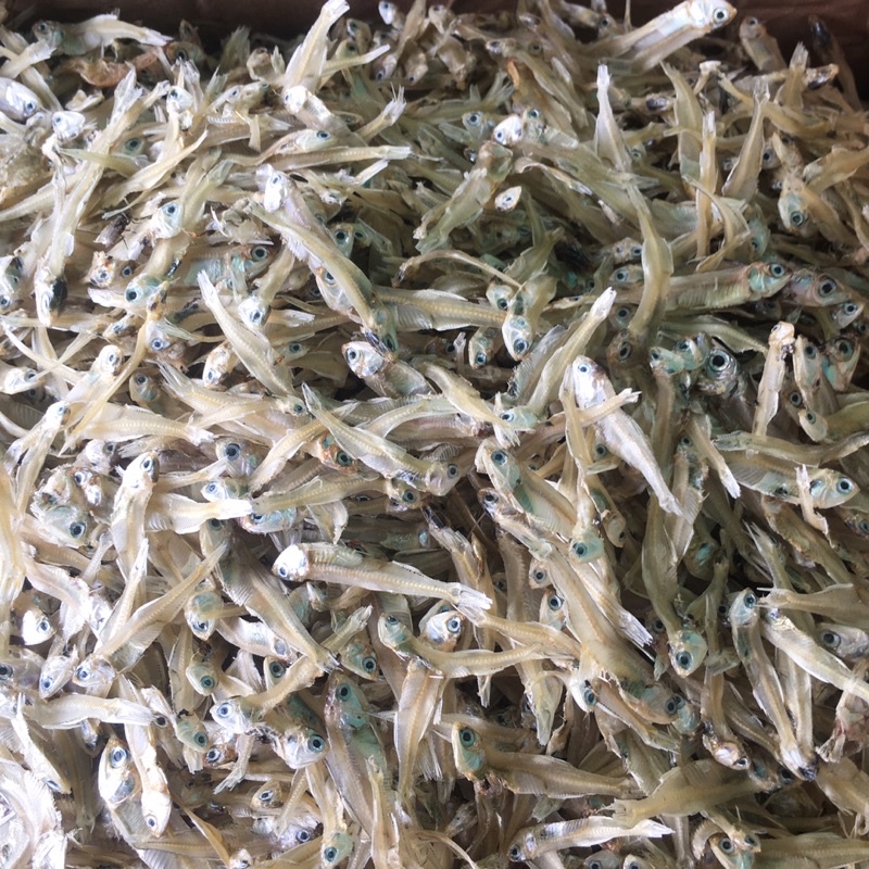 Jual Ikan teri bunga tawar sibolga 250 gram | Shopee Indonesia