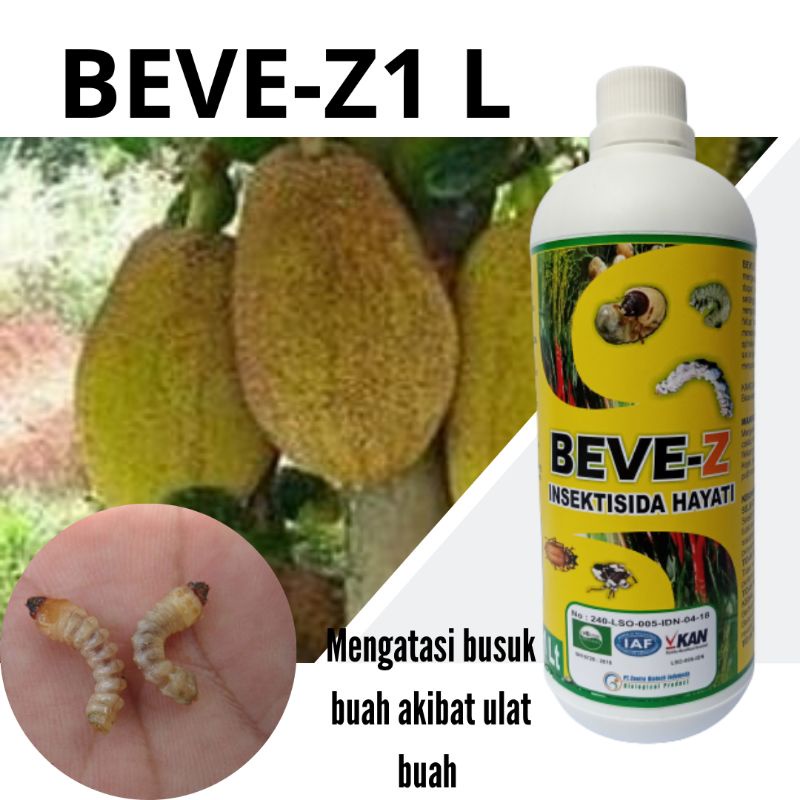 Jual Insektisida Untuk Buah Nangka Atau Cempedak - Pestisida Untuk Ulat ...