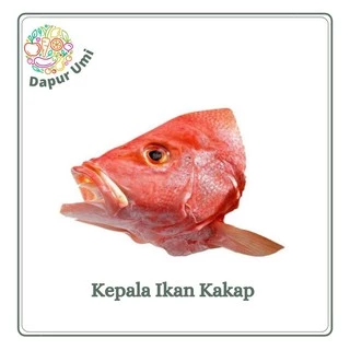 Jual Ikan Kepala Terlengkap & Harga Terbaru Juli 2024 | Shopee Indonesia