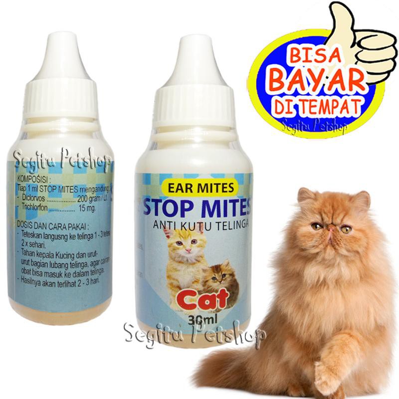 Jual OBAT SAKIT TELINGA KUCING KUTU ANTI SAKIT KUPING KUCING STOP MITES ...