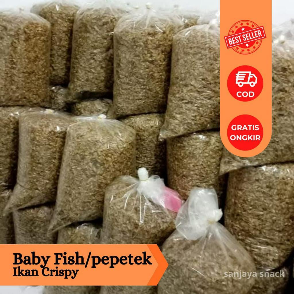 Jual Baby fish Ikan Crispy 1 ball (10 kg) Harga Grosir | Shopee Indonesia