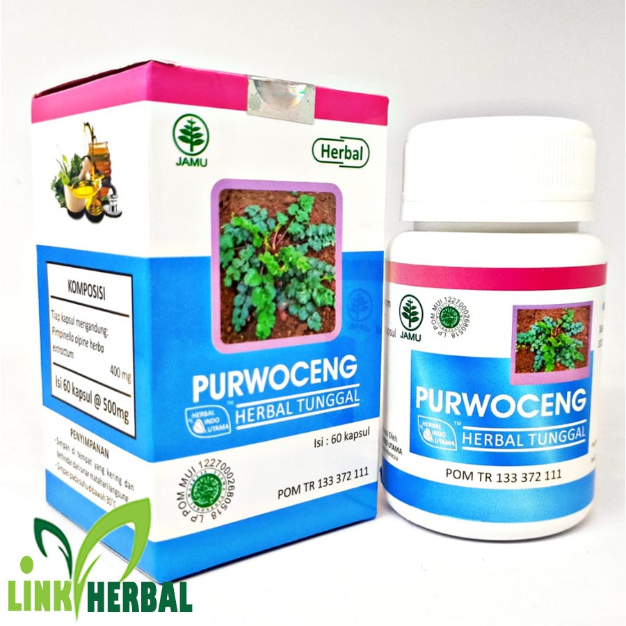 Jual Kapsul Purwoceng Herbal Indo Utama || Mememlihara Stamina Pria ...