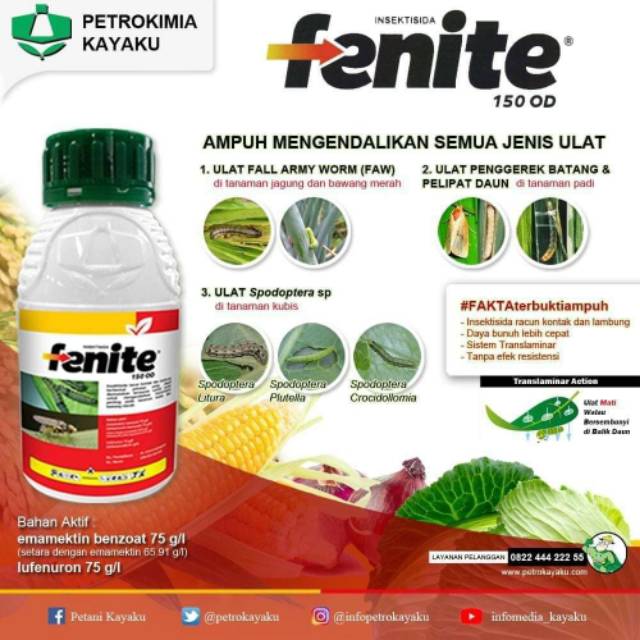 Jual FENITE 200ml INSEKTISIDA ULAT GRAYAK FAW JAGUNG BAWANG KUBIS ...