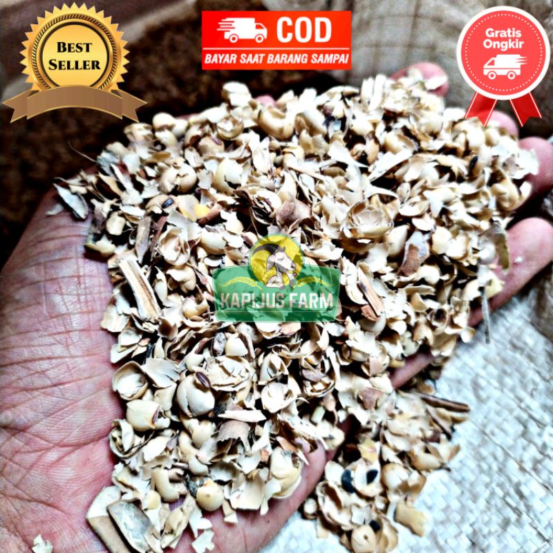 Jual Kleci / Klecepan Kedelai/ Cetem / Cethem / Klecepan Dele untuk ...