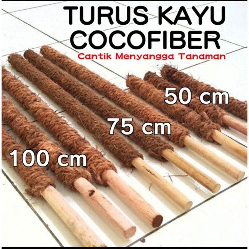 Jual Turus kayu penyangga tanaman rambat serabut kelapa | Shopee Indonesia