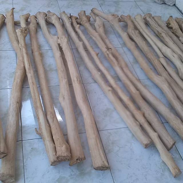 Jual Kayu kopi batang lurus | Shopee Indonesia