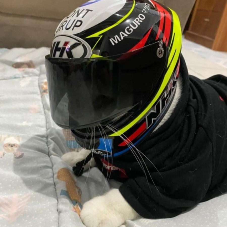 Jual Helm Kucing Anjing Monyet Peliharaan | Mainan Miniatur Mini Helmet ...