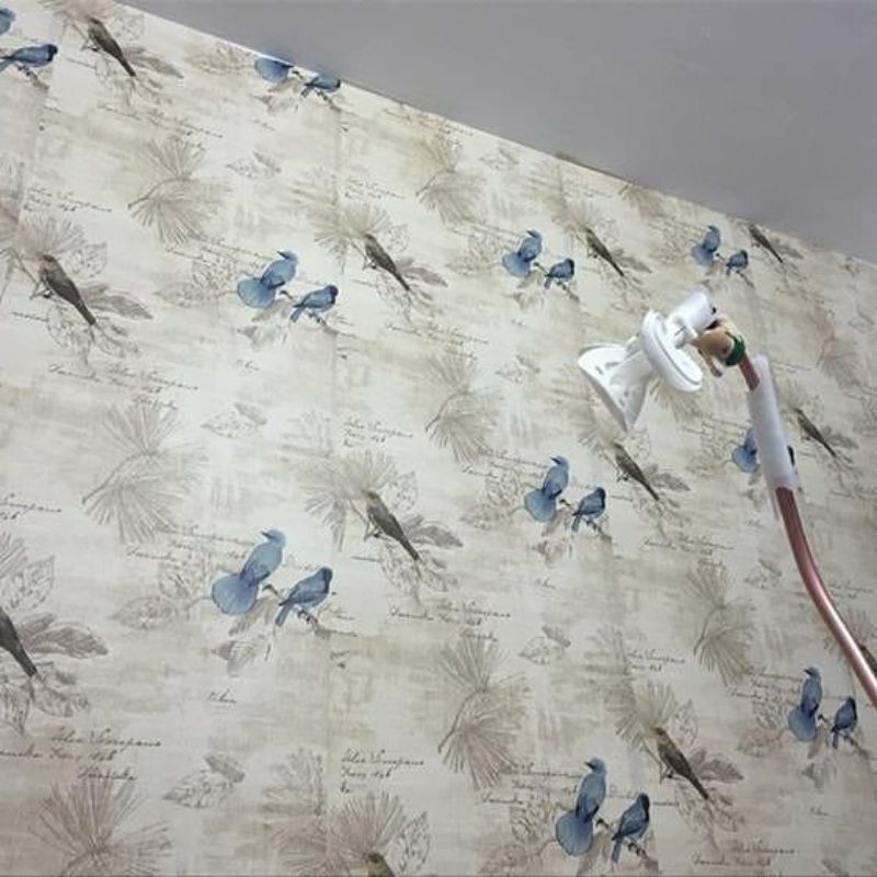 Jual wallpaper sticker dinding murah motif burung biru | Shopee Indonesia