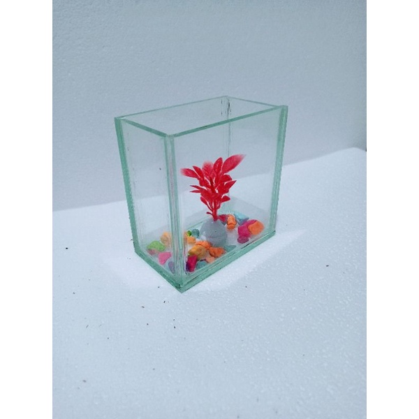Jual Aquarium soliter minimalais Soliter ikan cupang + batu hias warna ...
