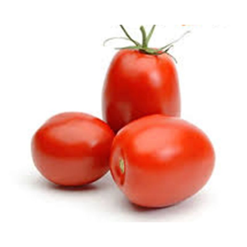Jual Tomat merah sayuran segar bandung 250gr | Shopee Indonesia