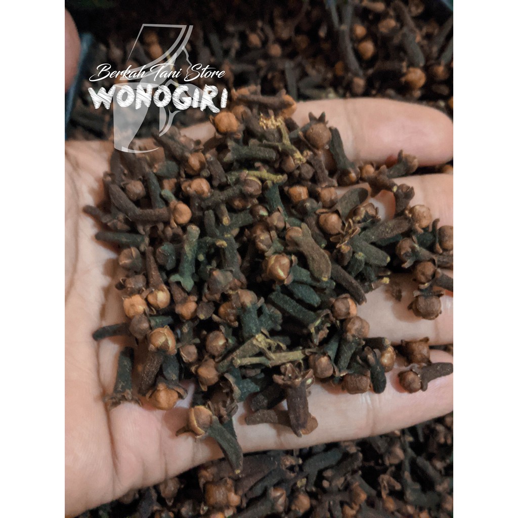 Jual CENGKEH / CENGKIH KERING 500 gram | Shopee Indonesia