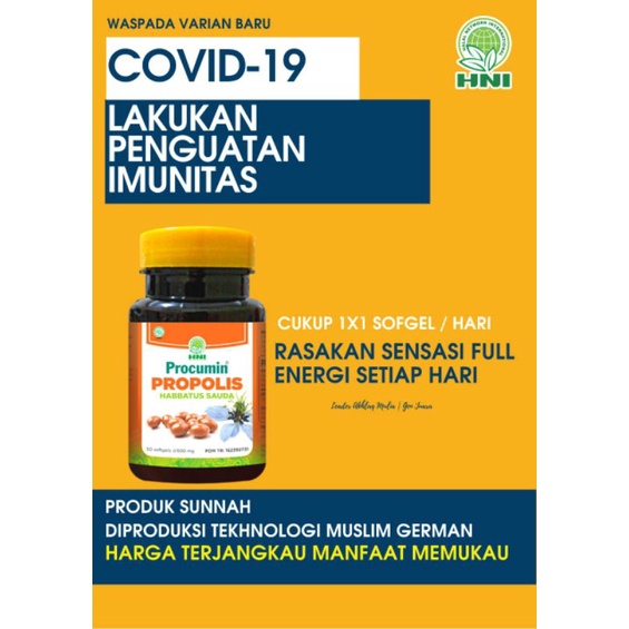 Jual Procumin Propolis HNI HPAI/Herbal sehat untuk saluran pernafasan ...
