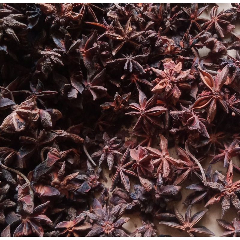 Jual Bunga lawang / Pekak 1 kg | Shopee Indonesia