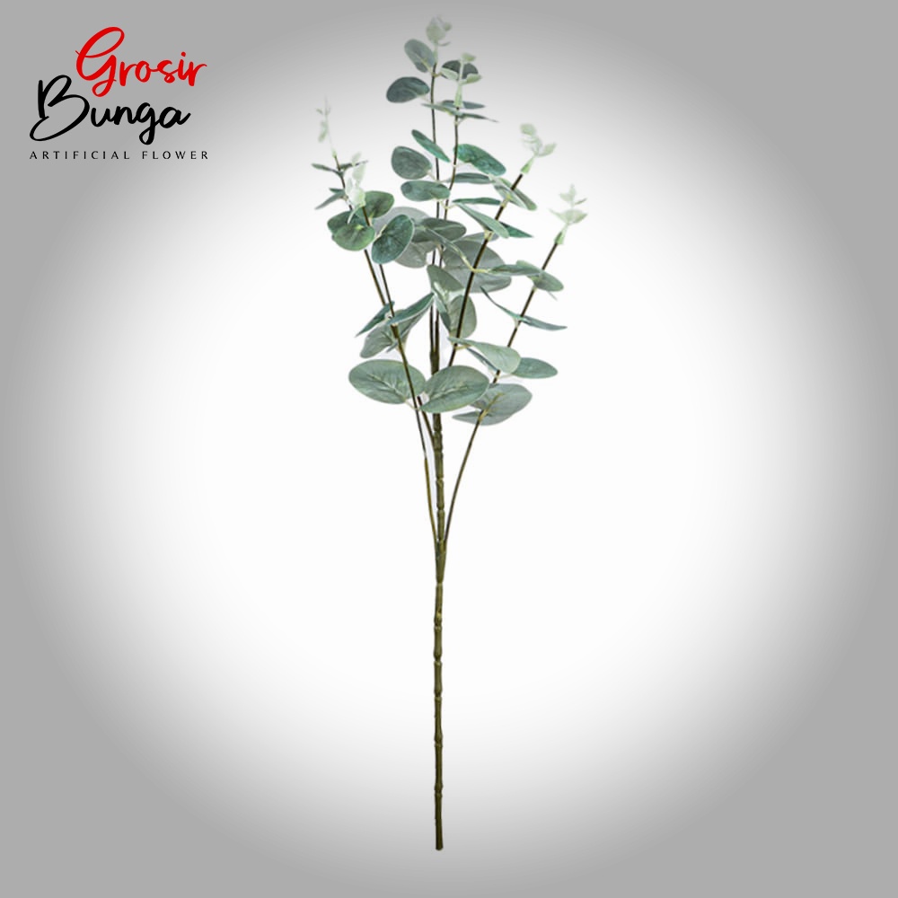 Jual Silver Dollar Cabang 6 dan cabang 16 Premium Daun Eucalyptus ...