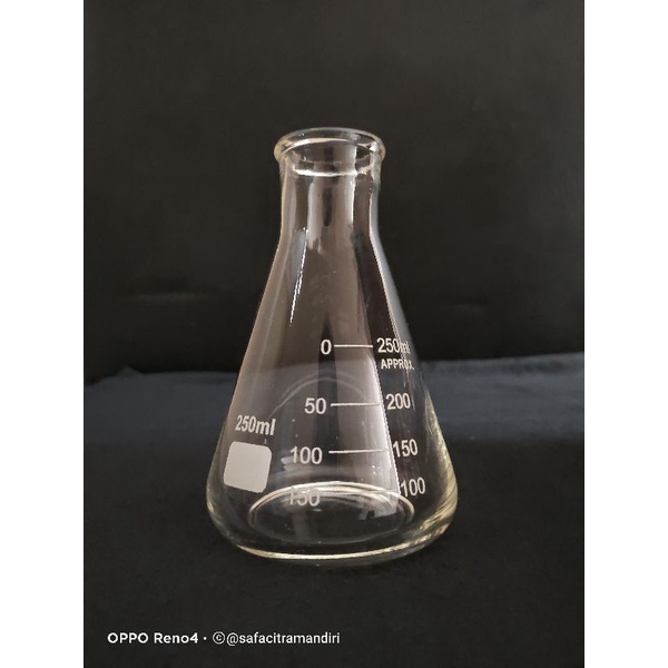 Jual Labu Erlenmeyer Flask 250 ml RRC / Erlenmeyer Flask / Labu Erlenmeyer | Shopee Indonesia