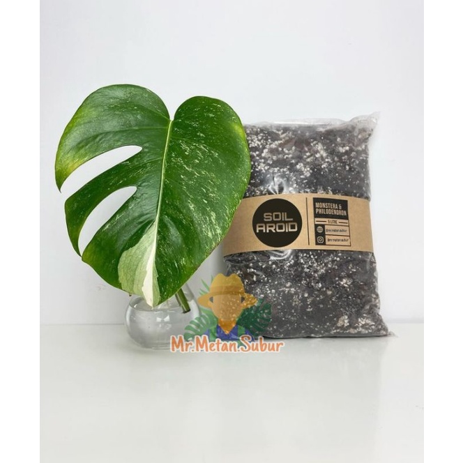 Jual Poros Media Tanam 2 kg SOIL AROID PREMIUM UNTUK SEGALA TANAMAN ...