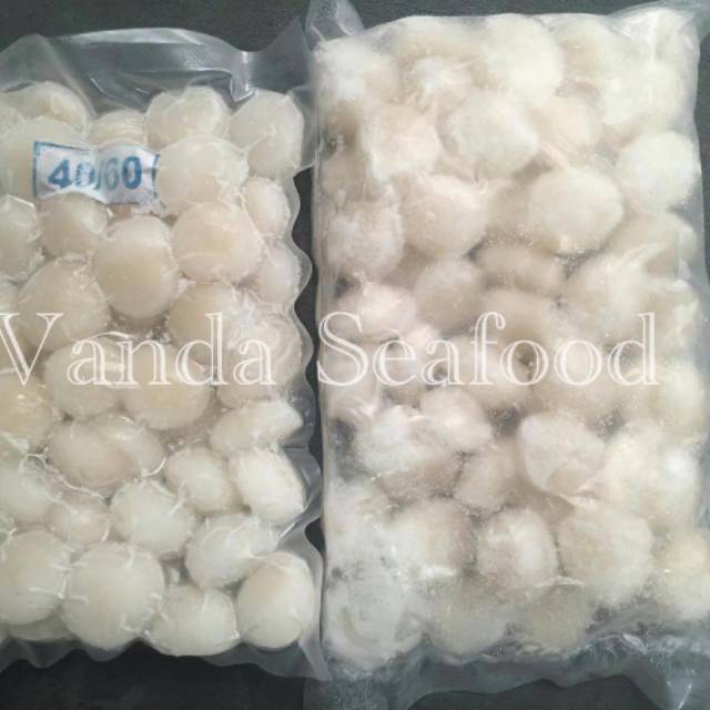 Jual Scallop Lokal Frozen 40-60 | Shopee Indonesia