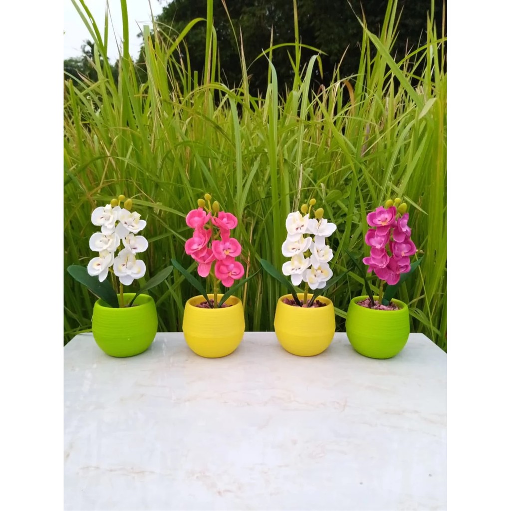 Jual BUNGA ANGREK 1 TANGKAY | Shopee Indonesia