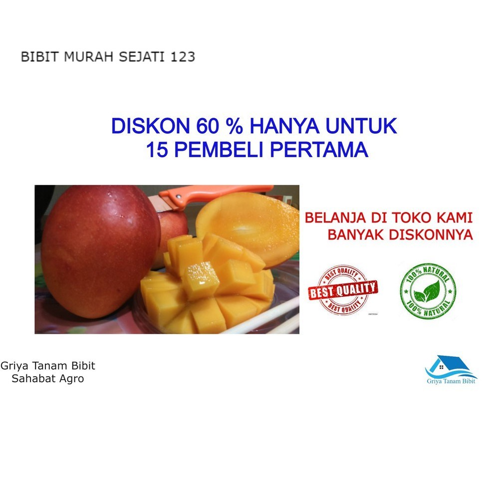 Jual Bibit Tanaman Mangga Yuwen Taiwan (Okulasi) | Shopee Indonesia