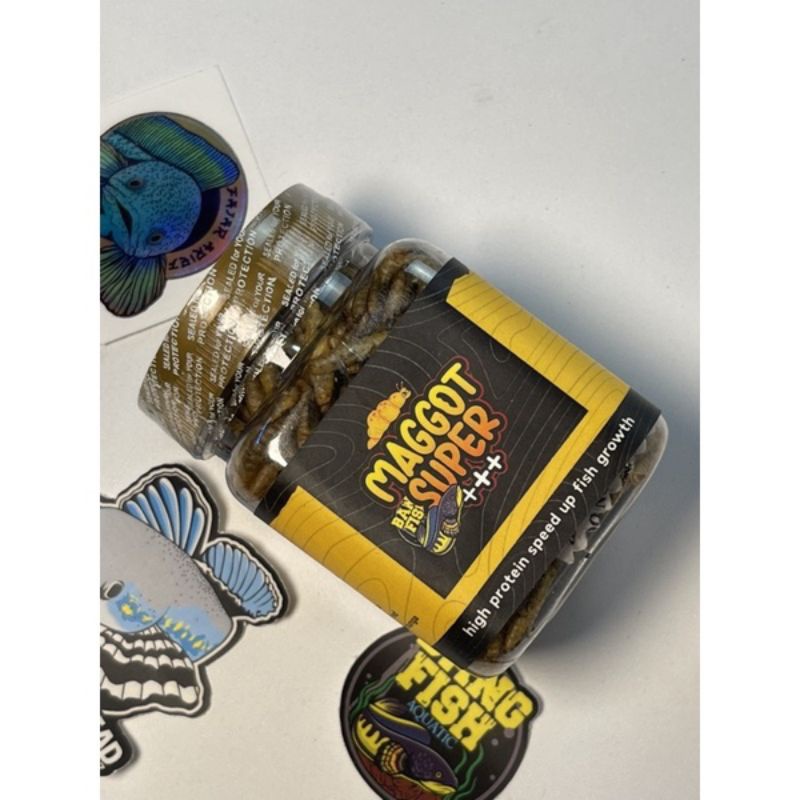 Jual MAGGOT SUPER +++ BANG FISH X FAJAR ARIEF BOTOL (EXTRA BETACAROTENE ...