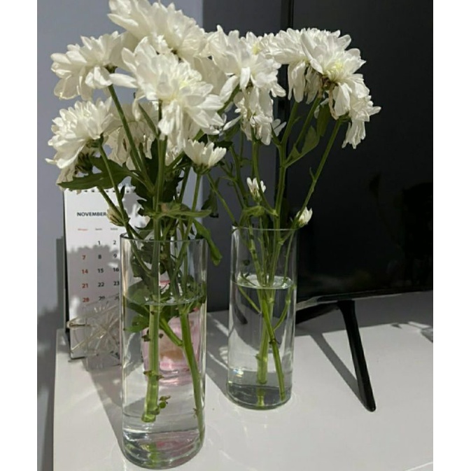 Jual vas bunga kaca toples cupang serbaguna vas bunga botol cutting ...