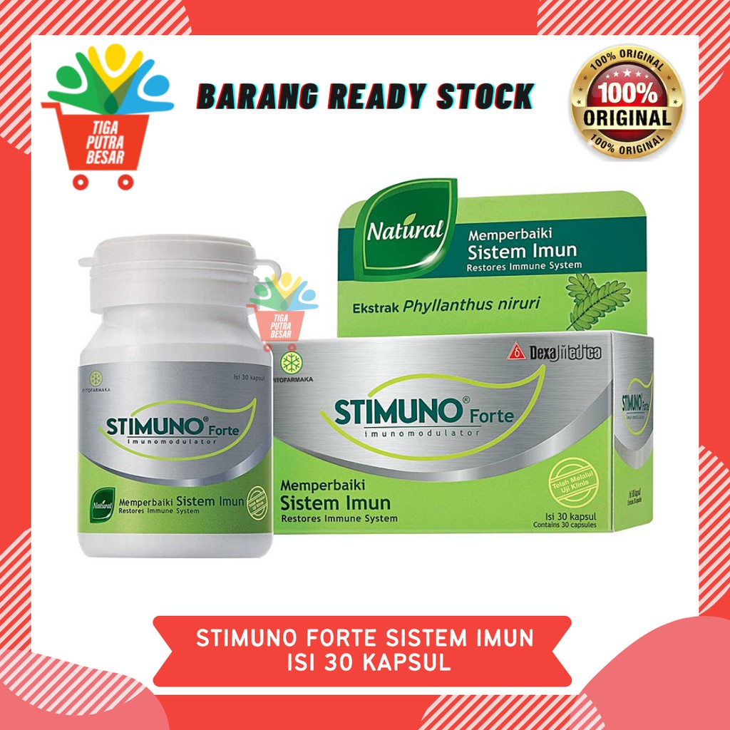 Jual STIMUNO FORTE SISTEM IMUN ISI 30 KAPSUL / EXP 2026 | Shopee Indonesia