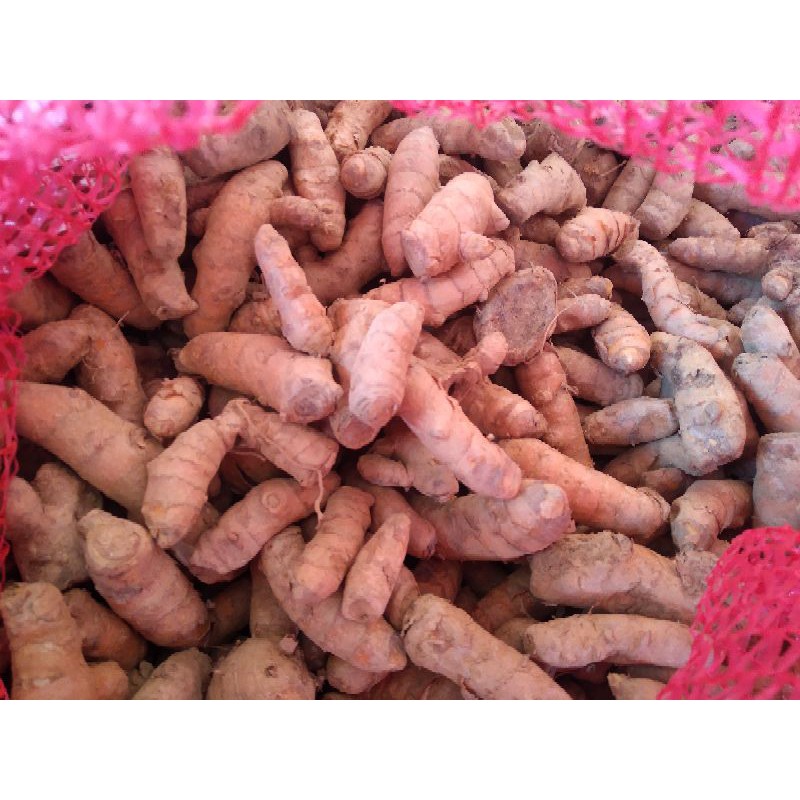 Jual kunyit kunir koneng 250gr | Shopee Indonesia