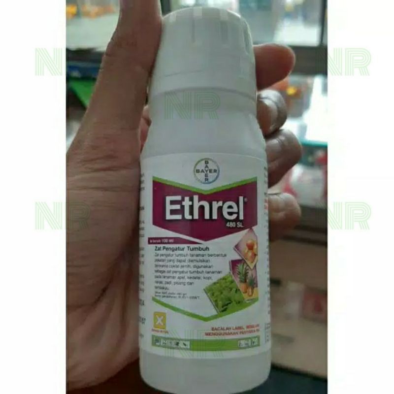 Jual KARBIT BUAH CAIR ETHREL ZPT Ethrel 480SL 100 ml | Shopee Indonesia
