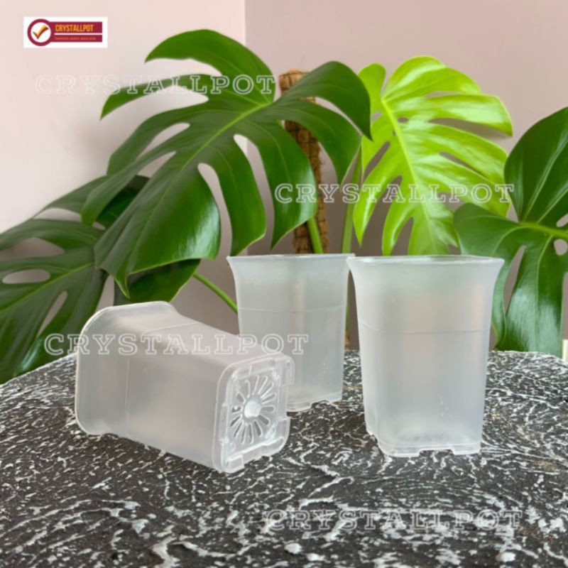 Jual POT BUNGA TANAMAN KOTAK JUOSS 8 BENING TRANSPARAN - NKT KOTAK 8 ...