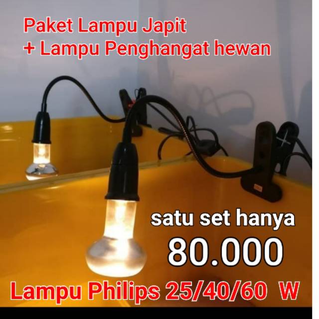 Jual Lampu Penghangat Ayam Hewan Philips | Shopee Indonesia