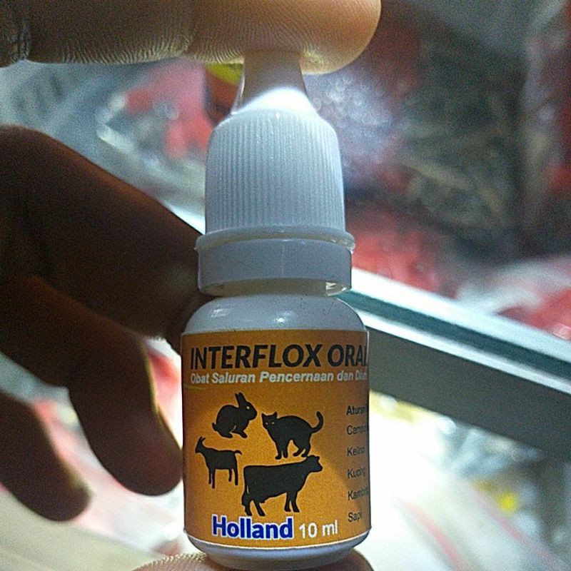 Jual Interflox oral 10ml, obat flu dan saluran pencernaan langsung ...
