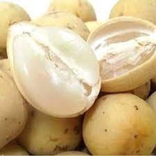 Jual Buah Duku Terlengkap & Harga Terbaru Juli 2024 | Shopee Indonesia