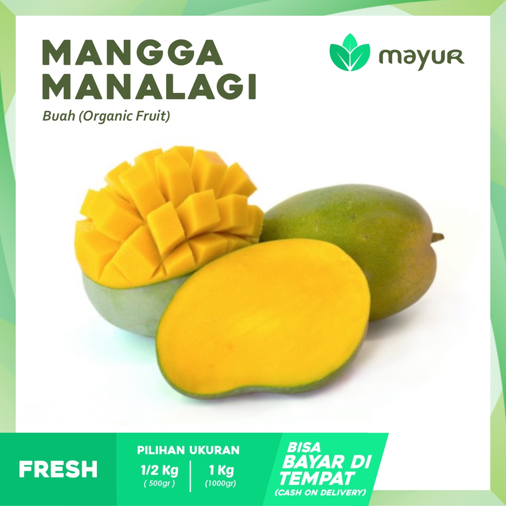 Jual Mangga Manalgi ( 1/2kg | 1kg ) | Shopee Indonesia