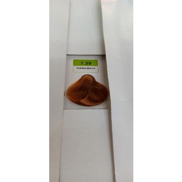 Jual Techno Professional Hair Color Chart Permanent | Cat Rambut Techno ...