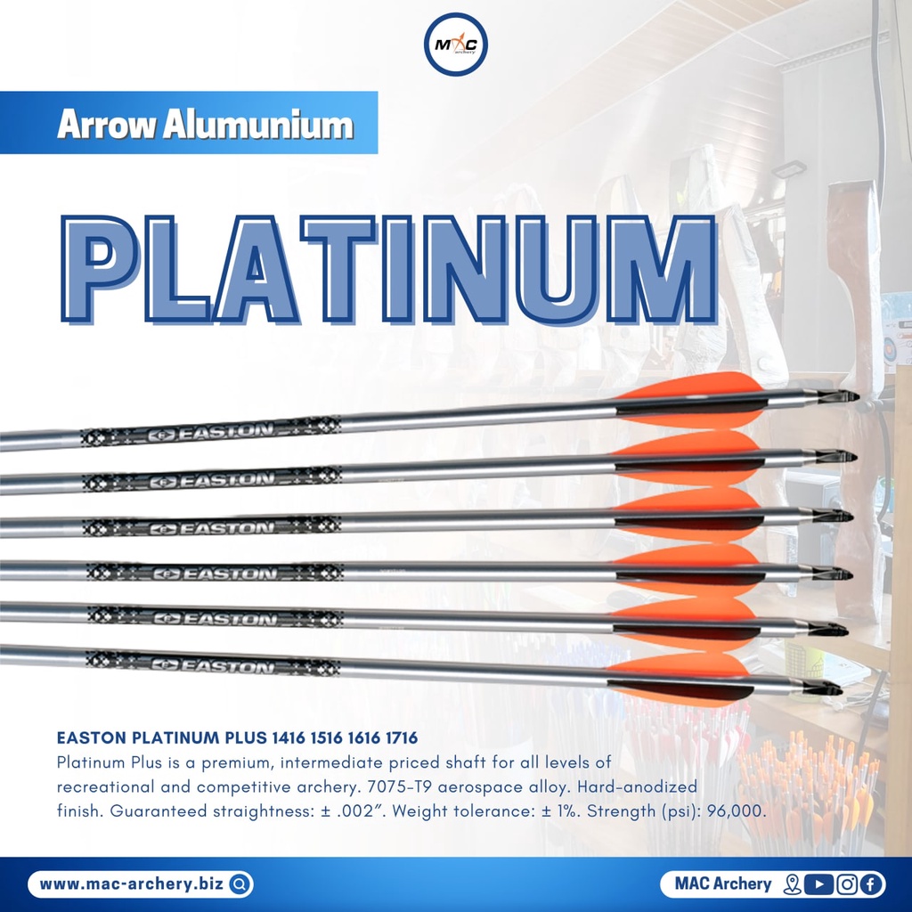 Jual Arrow EASTON PLATINUM PLUS - sudah termasuk rakit | Shopee Indonesia