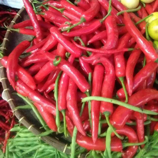 Jual cabe merah gede 1kg | Shopee Indonesia