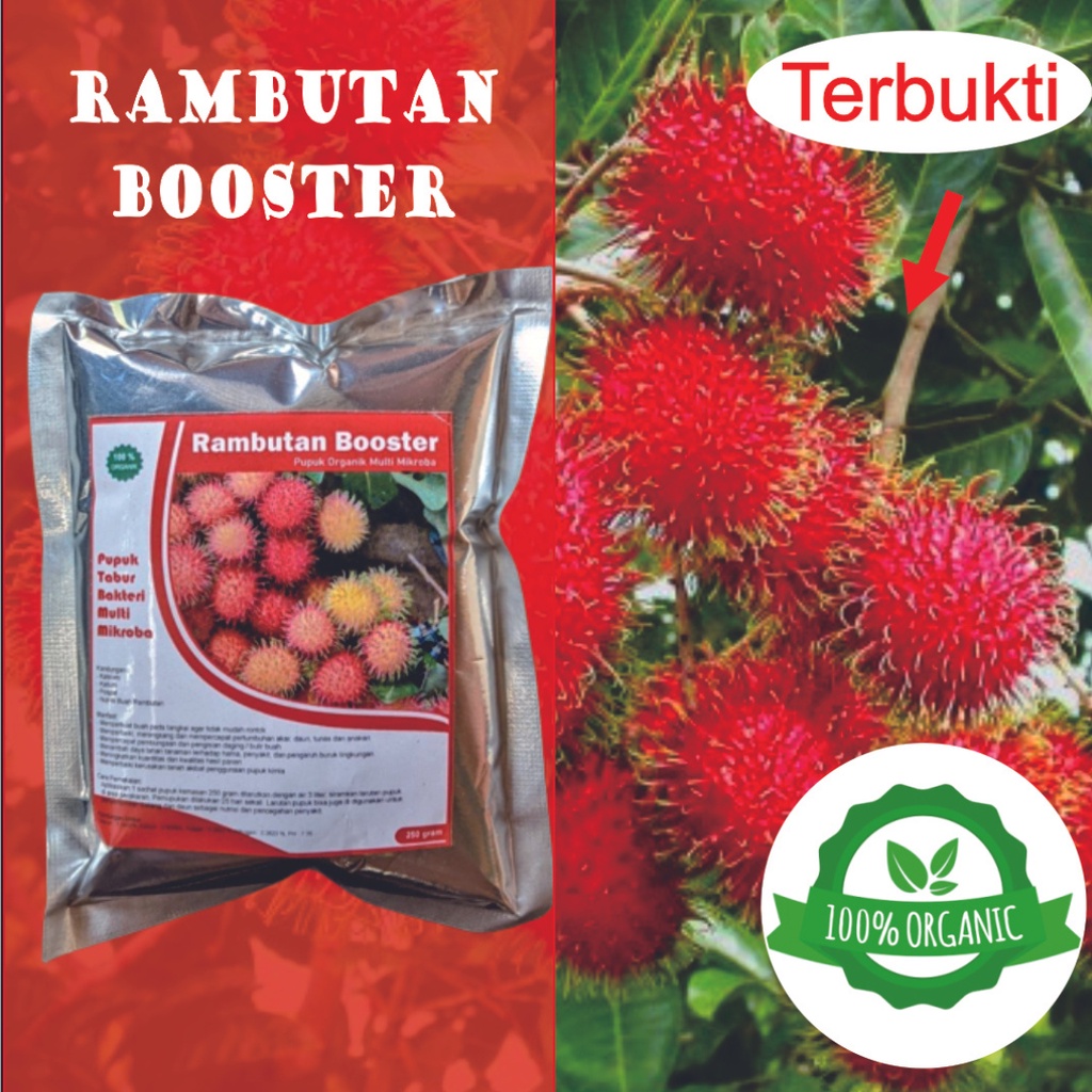 Jual PUPUK BOOSTER RAMBUTAN || PUPUK RAMBUTAN || PERANGSANG BUAH | Shopee Indonesia