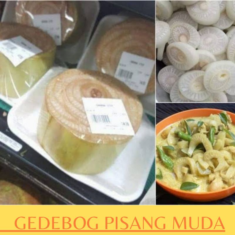 Jual gedebog pelapah pisang kelutuk/batu siem/ajlok kepok organik super ...