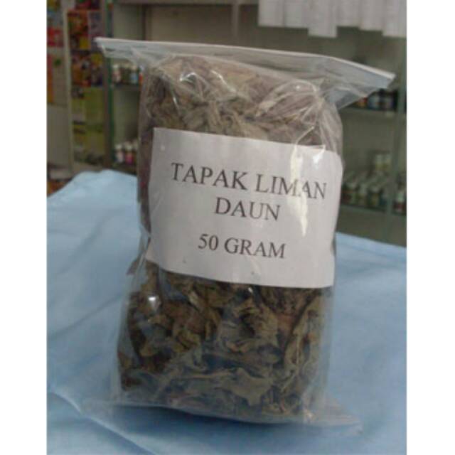 Jual Daun tapak liman kering 50 gram | Shopee Indonesia