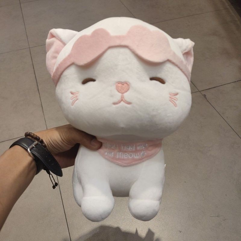 Jual Miniso Boneka Babi Boneka Kucing Hoodie Lotso Plush Toy | Shopee ...