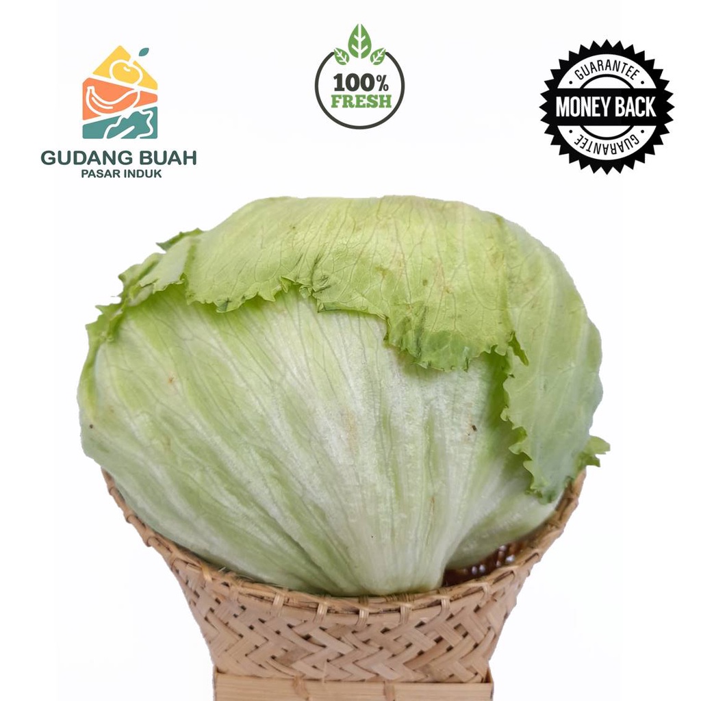 Jual Letus Segar | Lettuce Fresh | Lectus | Lektus | Lectuce 1kg ...