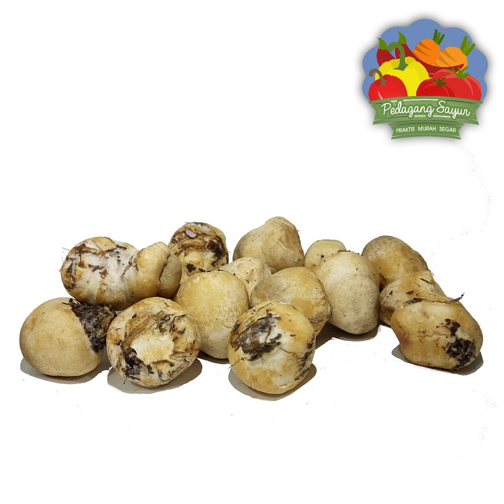 Jual Jamur Bulat -250 Gram | Shopee Indonesia