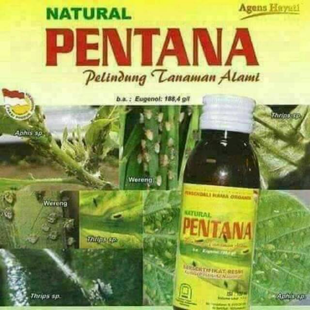 Jual PENTANA | Shopee Indonesia