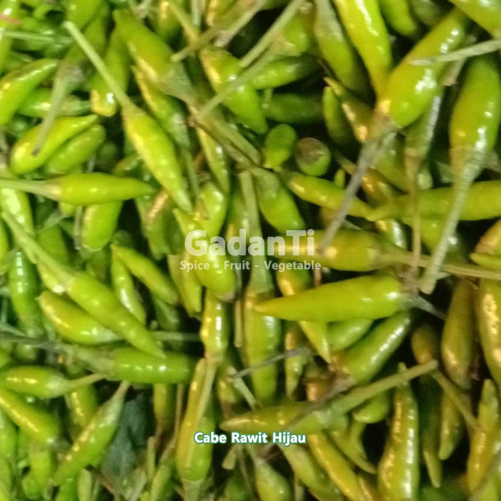 Jual Cabe Rawit Hijau Segar dan Murah 1Kg | Shopee Indonesia