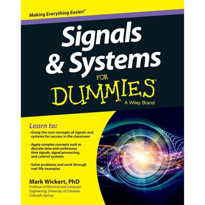 Jual SINYAL DAN SITEM UNTUK DUMMIES | Shopee Indonesia