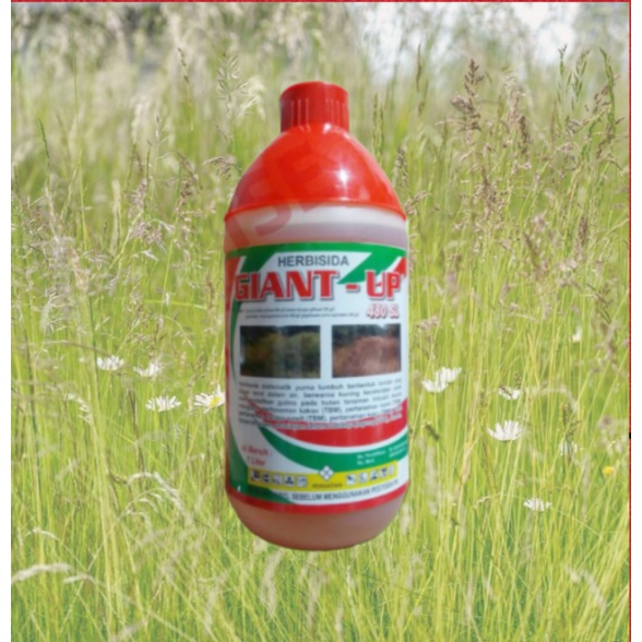 Jual Giant Up Herbisida Obat Rumput Obat Suket 1 Liter herbisida ...