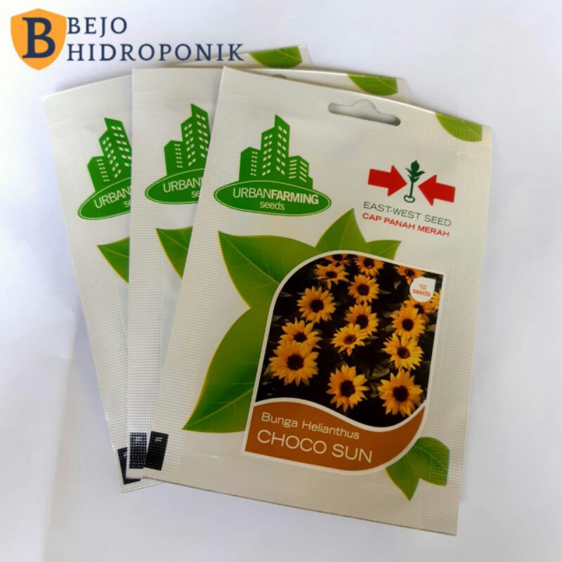 Jual BENIH BUNGA HELIANTHUS CHOCO SUN / KEMASAN URBAN FARMING / PANAH ...