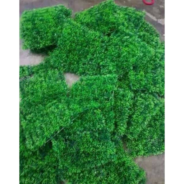 Jual rumput jepang ukuran 25x25 cm | Shopee Indonesia